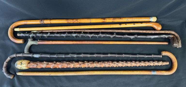 Walking Stick and Cane Assortment - Auctionology LLC